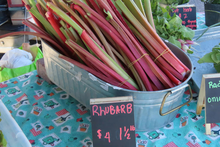 It's forced rhubarb season – here's how to cook with it
