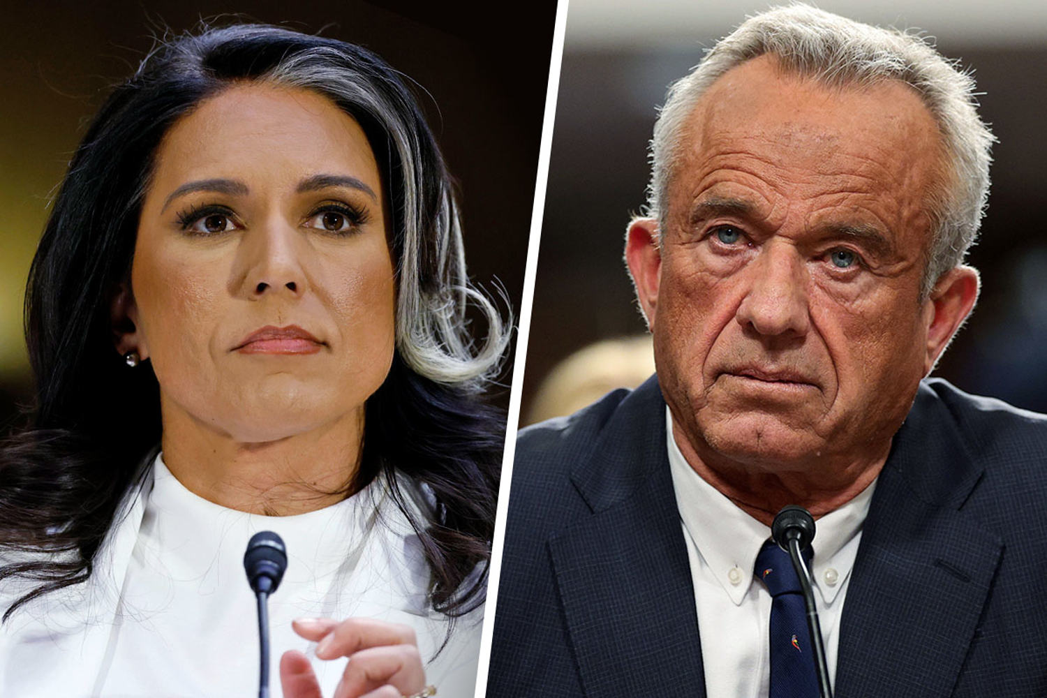 Maddow Blog | Gabbard, RFK Jr. do themselves no favors ahead of ...