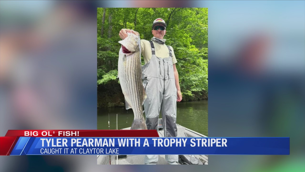 Big Ol' Fish: January 24