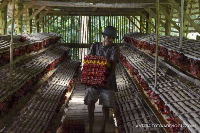 Pemerintah Tambah Anggaran MBG Rp 100 Triliun, Pinsar: Selamatkan Usaha Peternak UMKM