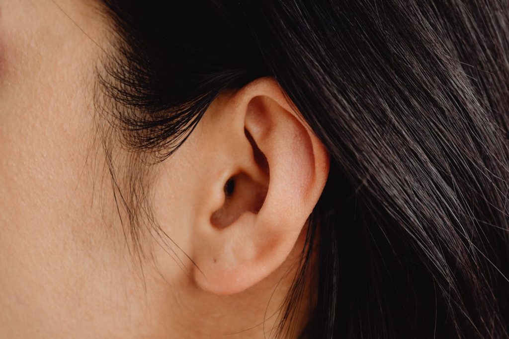 Study discovers that ear muscles wiggle to help people listen better
