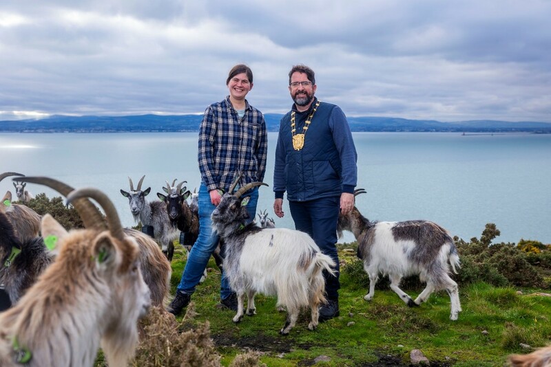 Howth goat herder given electric bike to help herd of Old Irish Goats ...