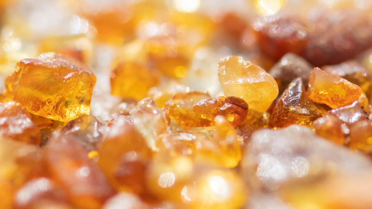 Why Finding Amber In Antarctica Is So Important