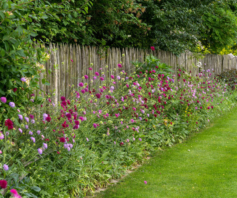 Easy Fence Landscaping Ideas: 6 Ways To Perk Up Your Property Line With ...