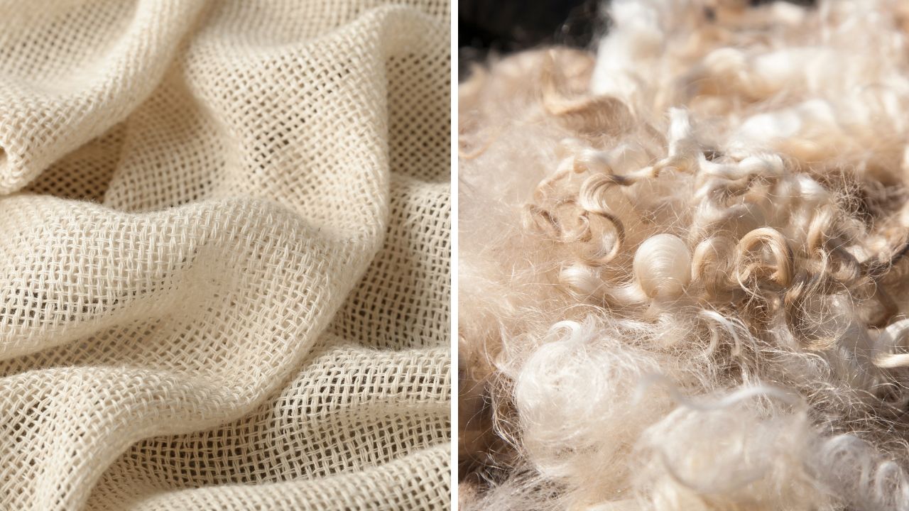 Hemp Wool vs. Sheep Wool: The Shocking Truth Big Agriculture Doesn’t ...