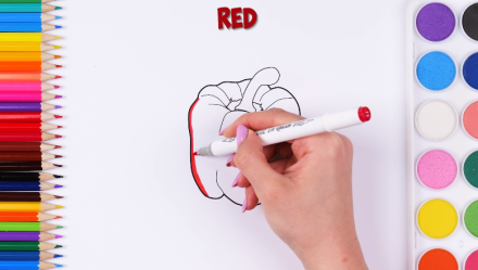 Bell Pepper Drawing | Learn Color Names with us