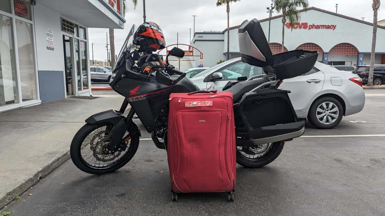 7 creatures that can sleep with their eyes open