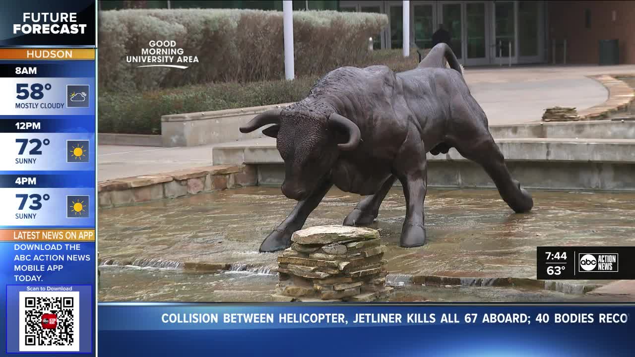 Bulls Family Fest invites community to USF campus