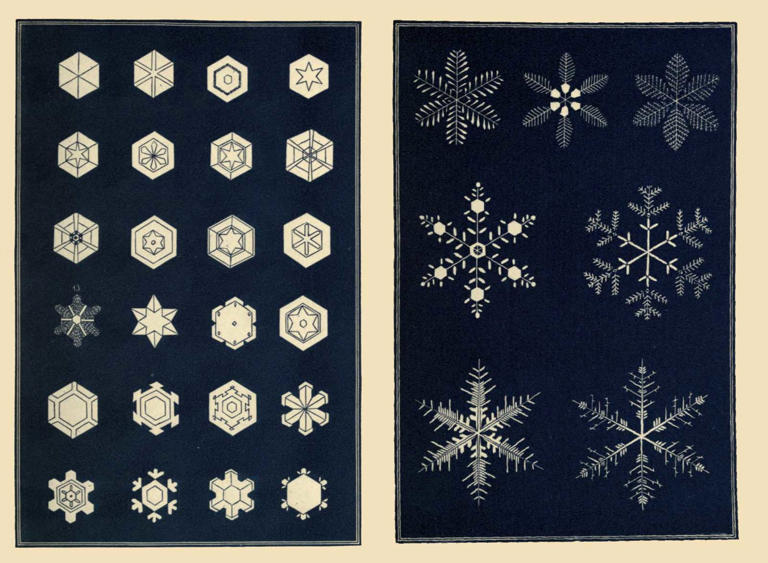 Explore beautiful snowflake illustrations from 1863