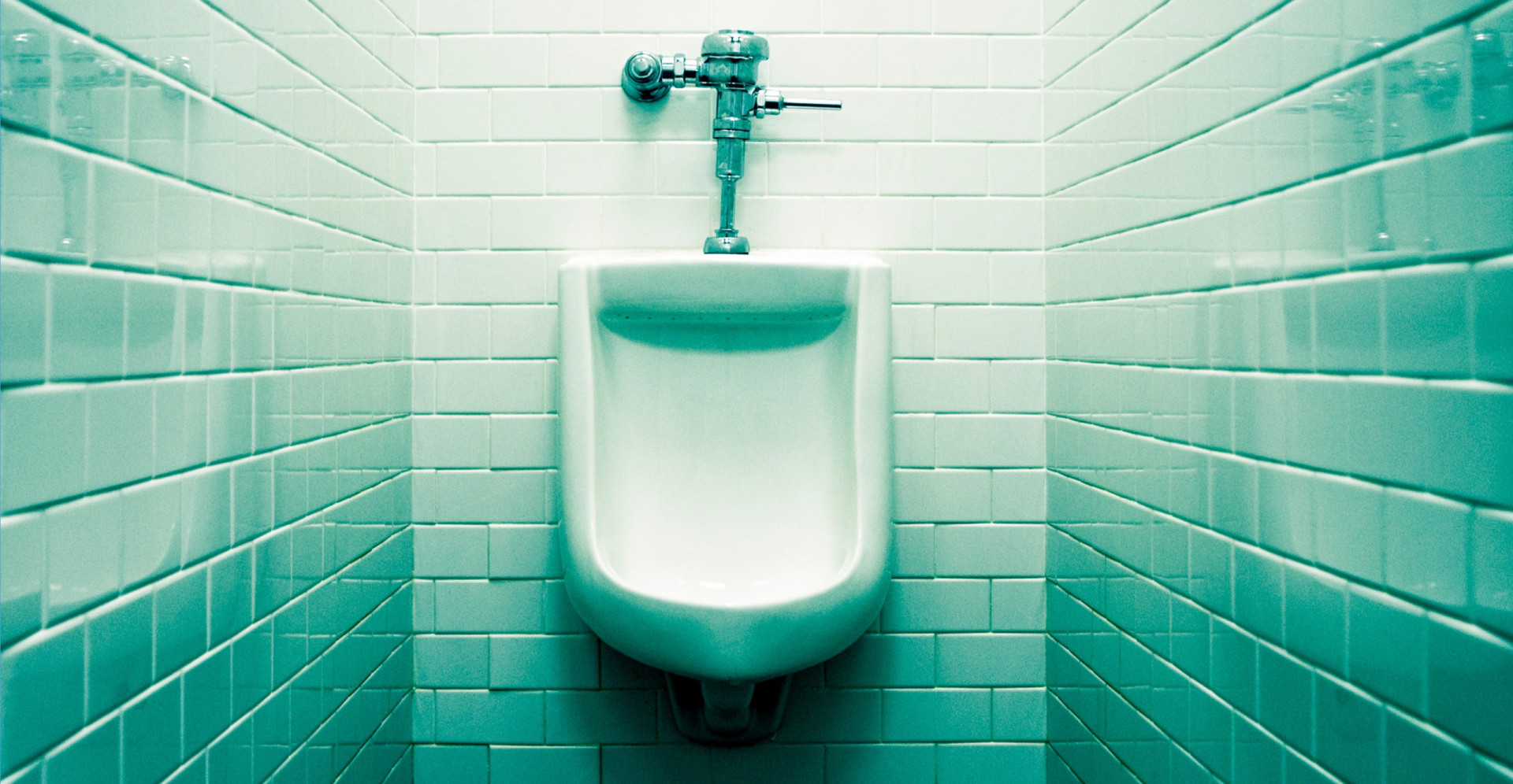 American vs. European toilets: why are they different?