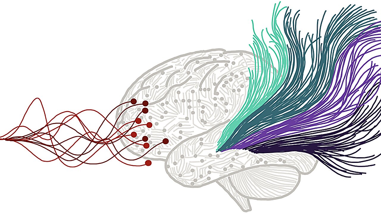 Harnessing chaos: How the brain turns randomness into robust memory
