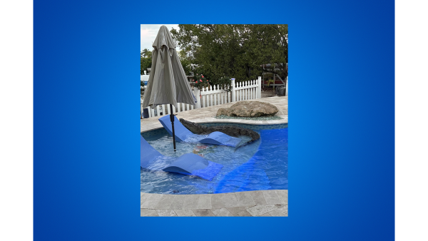 Croc Spotted Lounging In Key Largo Pool