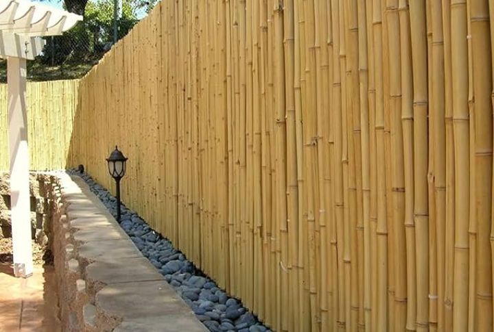 20 Budget-Friendly Fencing Ideas To Secure Your Yard