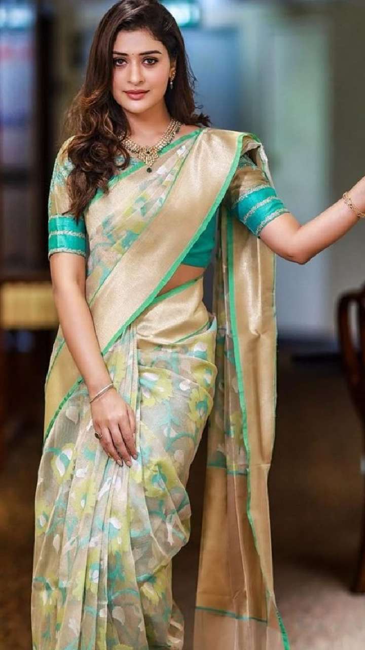 Payal Rajput Inspired Classic Hairstyles To Pair With Chiffon Sarees