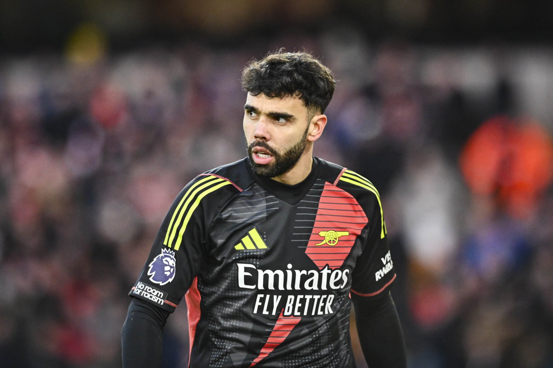 New David Raya injury update provided by Mikel Arteta ahead of Arsenal ...