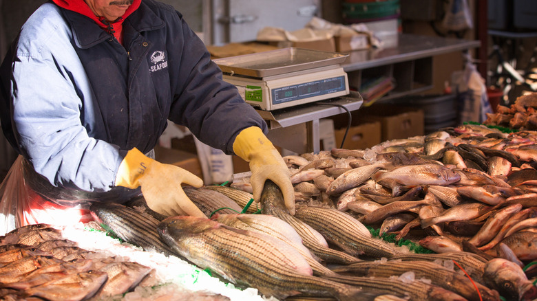 The Oldest Continuously Operating Fish Market In America Is Tucked Away ...