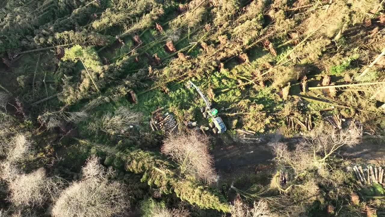 Another Look At The Damage From Storm Eowyn With Hundreds Of Trees ...