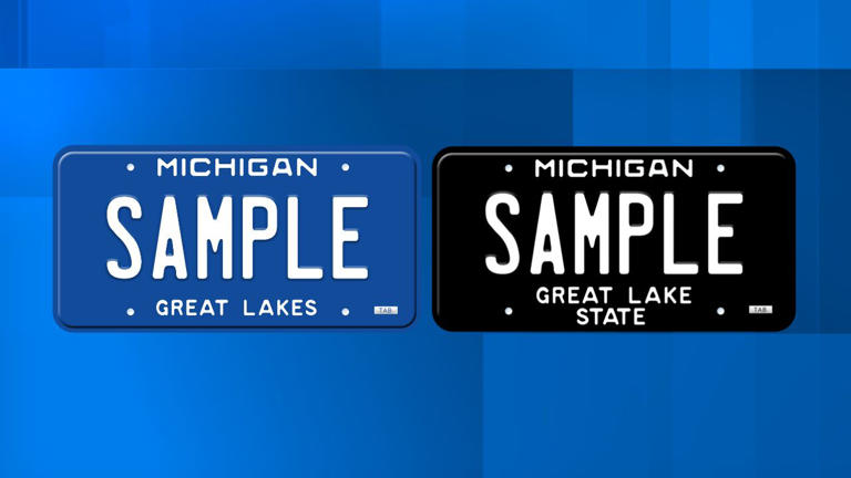 Secretary Benson announces the return of 2 license plates from Michigan ...