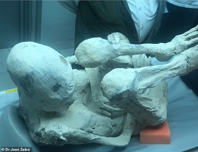 Experts studying 'alien mummies' claim bodies are '100% real'