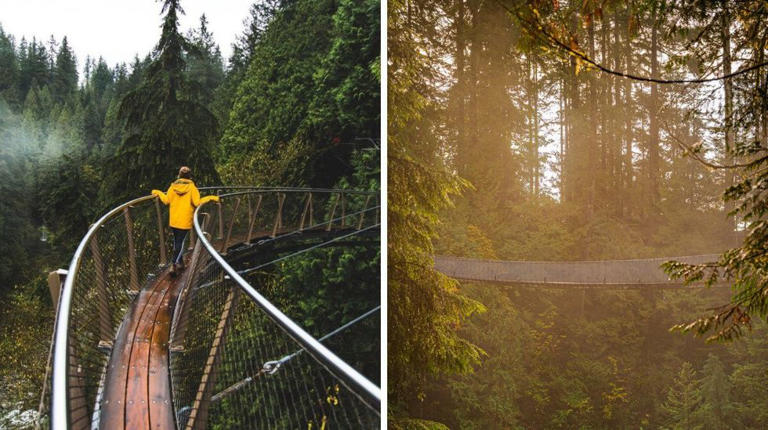 This BC spot with a rainforest canopy and deep canyon was named among ...