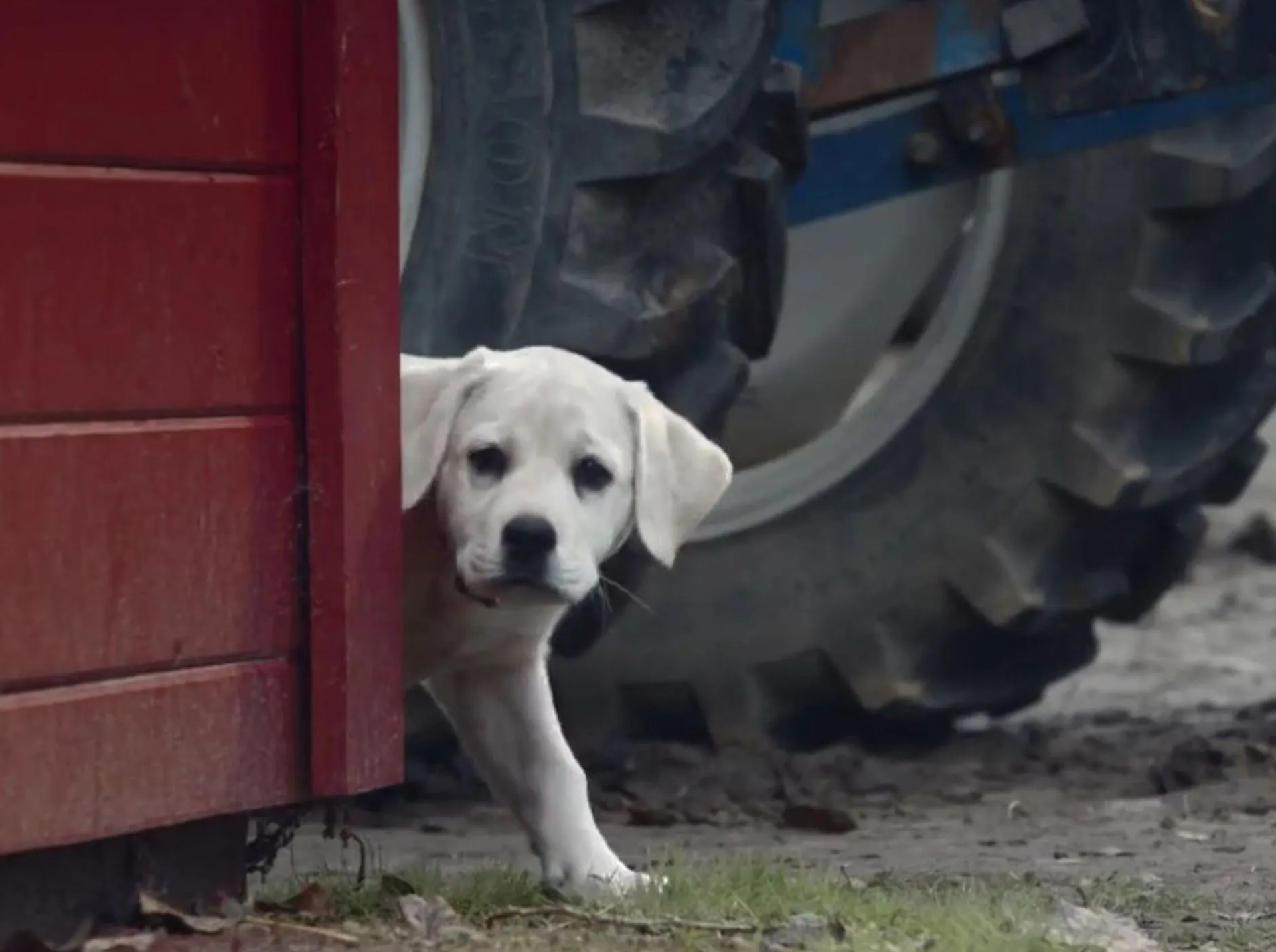 Ad Meter Time Capsule: 2015 had all-time classic Super Bowl commercials ...