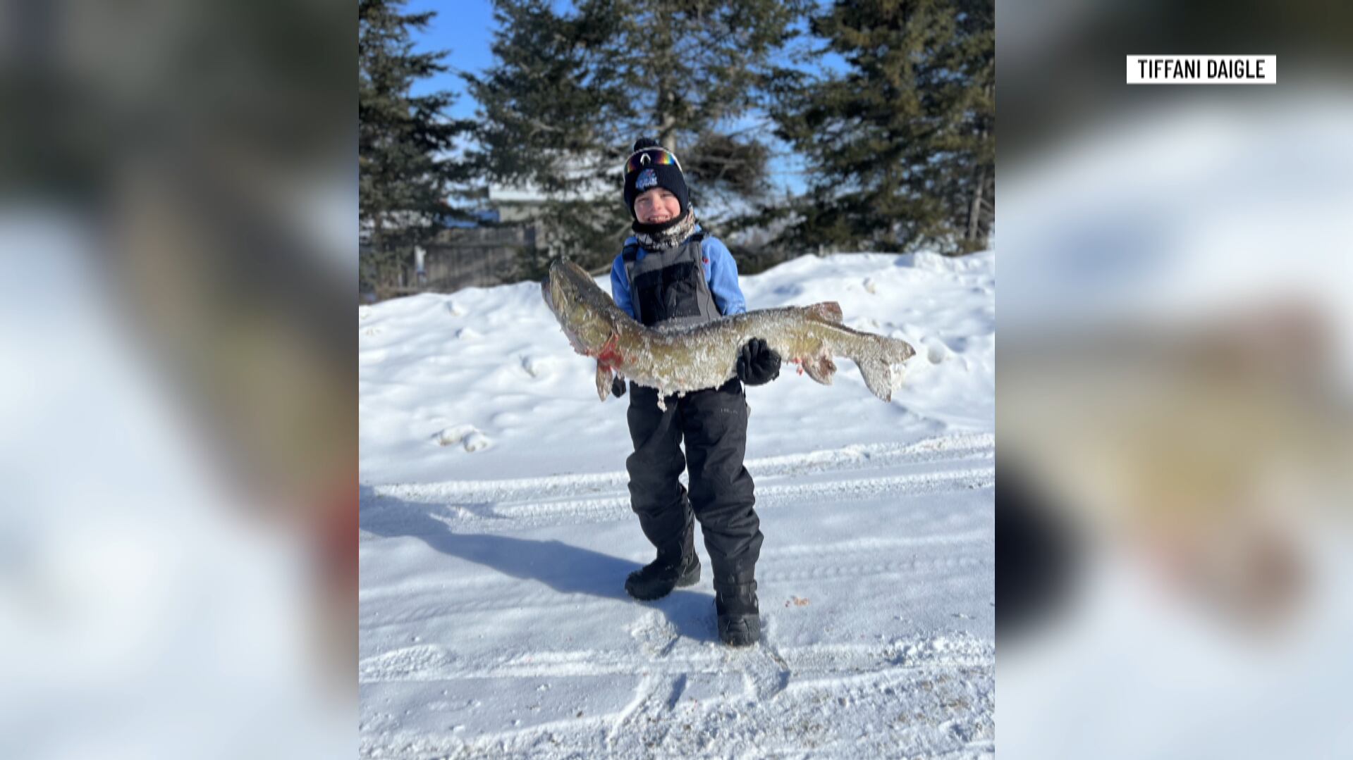 Madawaska boy makes a splash with selfless gesture following ice ...