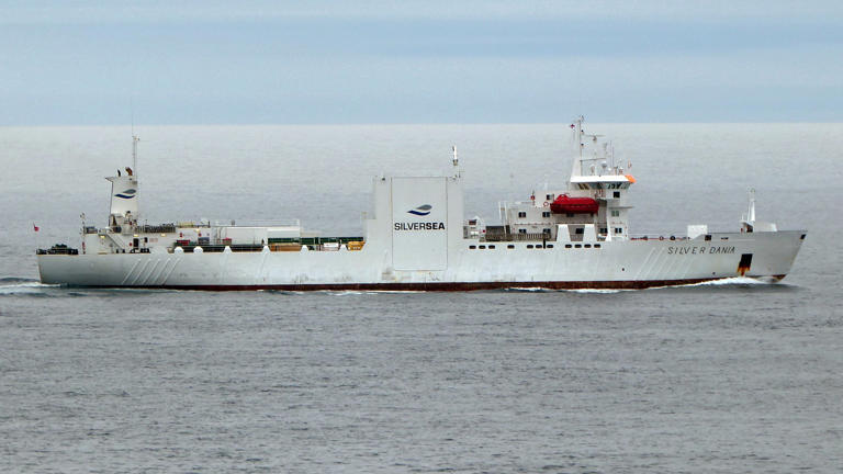 Statek podejrzany o sabotaż na Bałtyku zwolniony. Policja zabiera głos