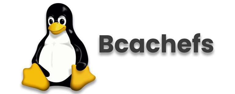 Linux 6.14: Bcachefs ritorna con nuove correzioni miglioramenti