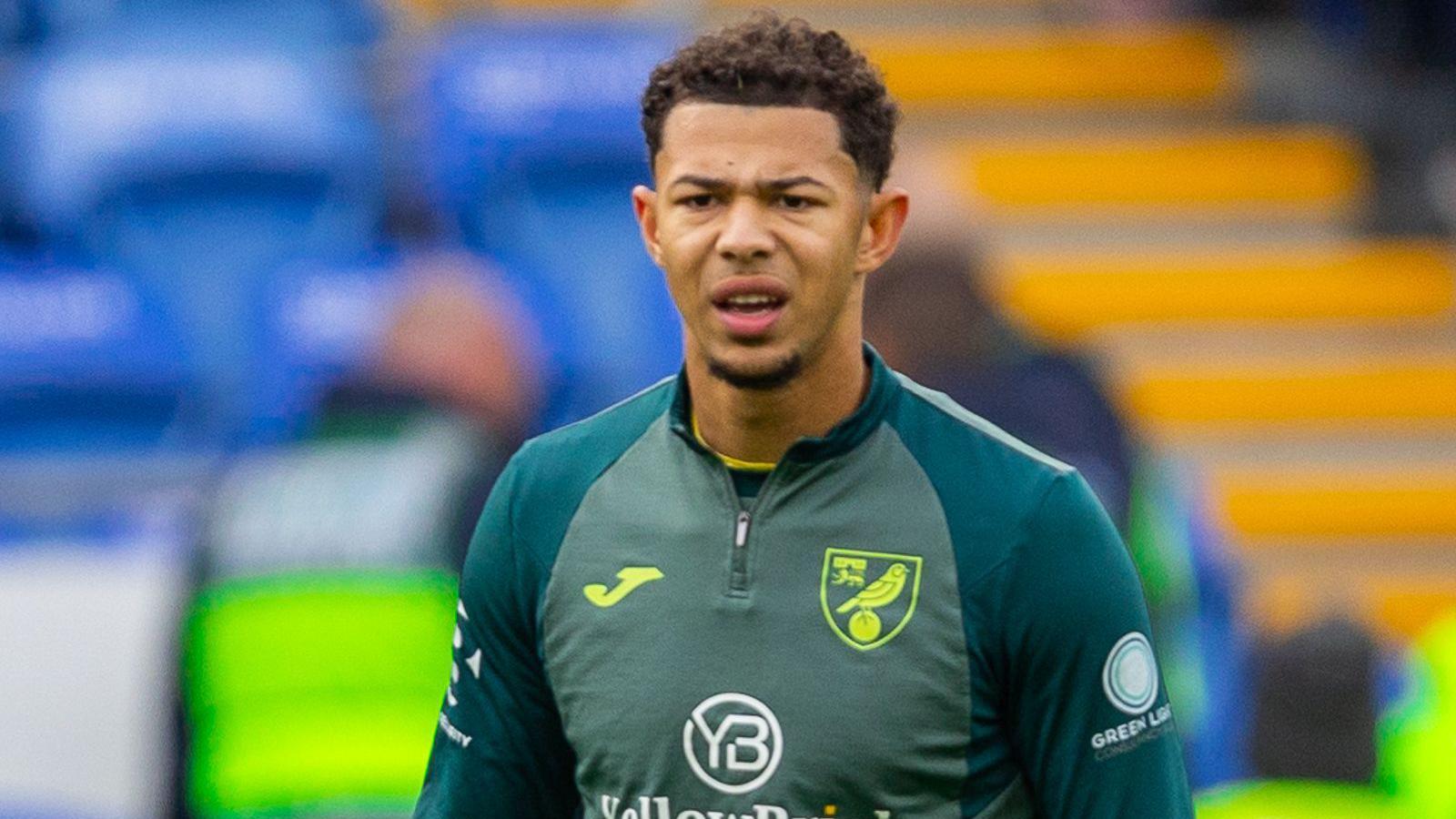 Newport sign Norwich defender Warner