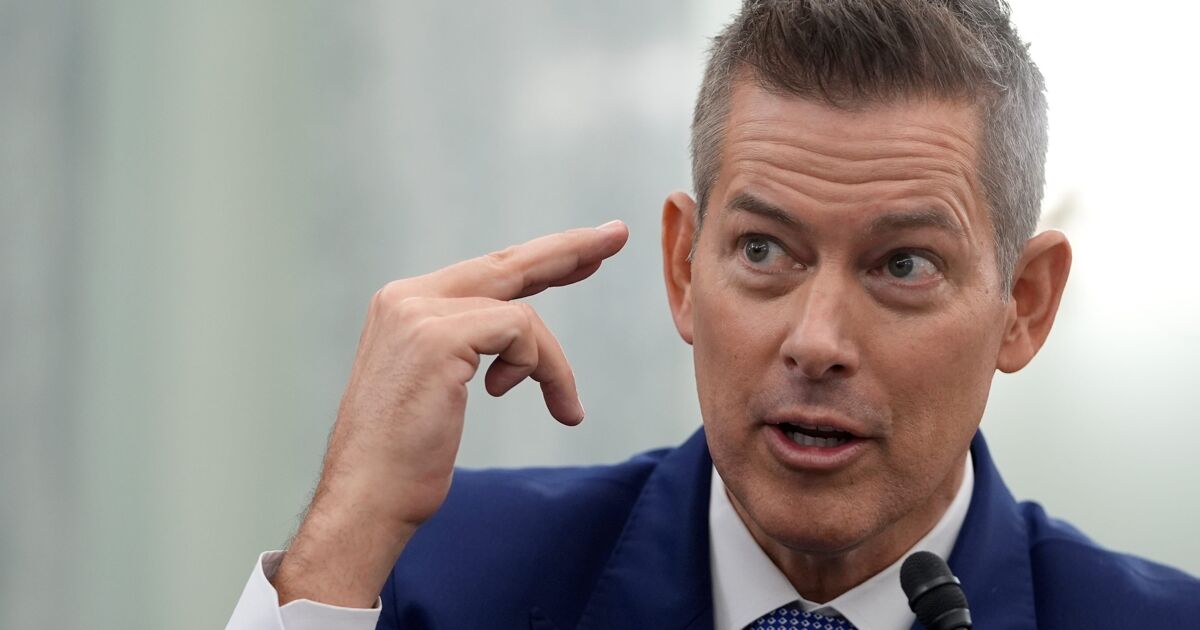 Pete Buttigieg’s replacement says all his problems are because ...