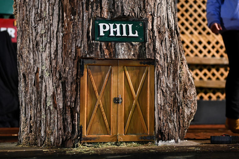 Get ready for Groundhog Day: What it means if he sees his shadow ...