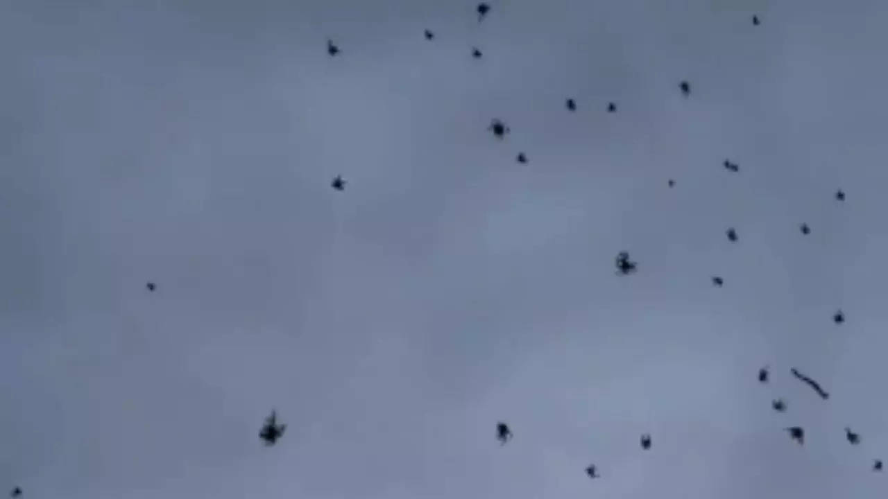 Hundreds of spiders descend from the sky, and the reason is wilder than ...