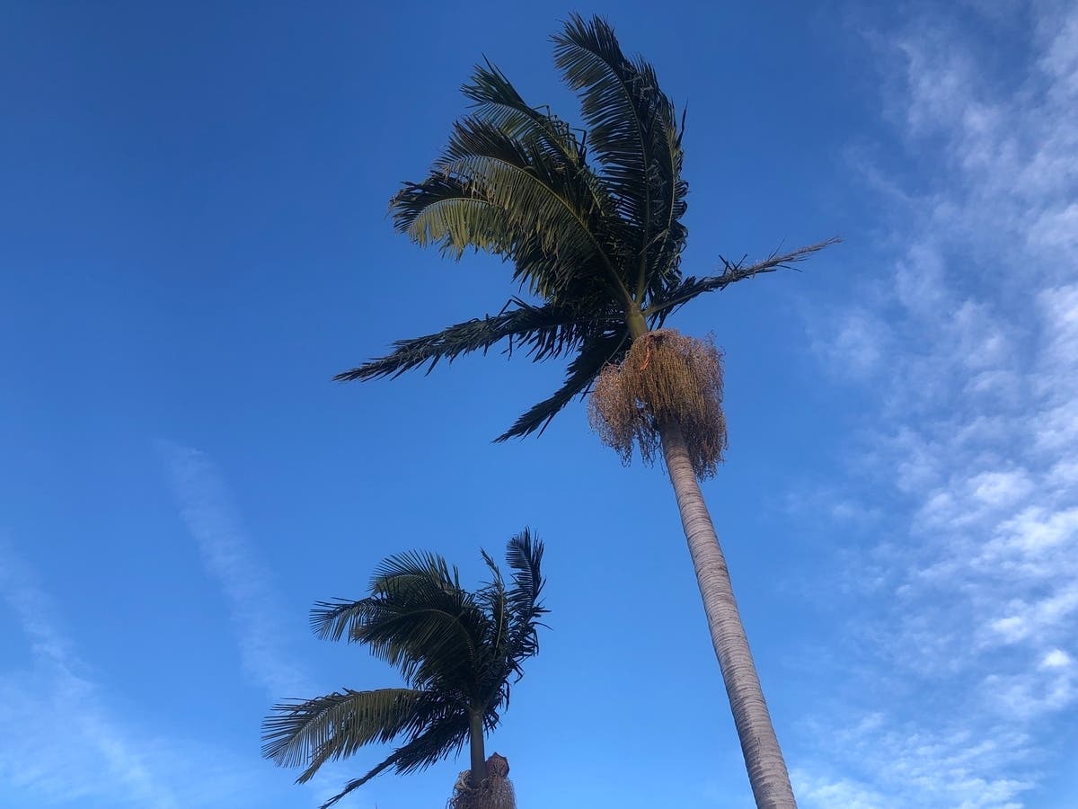 Solution For Blowing Sand, Dust Sought For Coachella Valley Residents