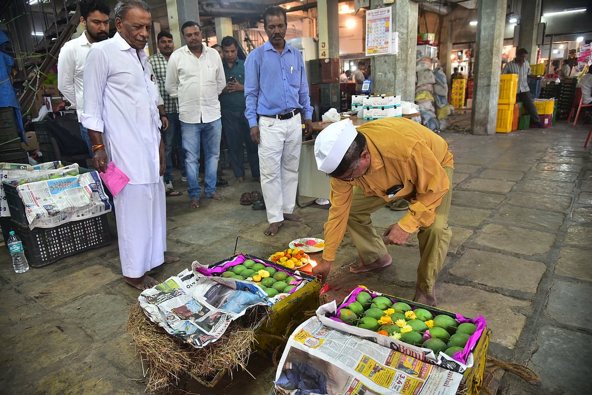 Navi Mumbai: 'Retailers Mislabeling Karnataka Alphonso Mangoes As ...