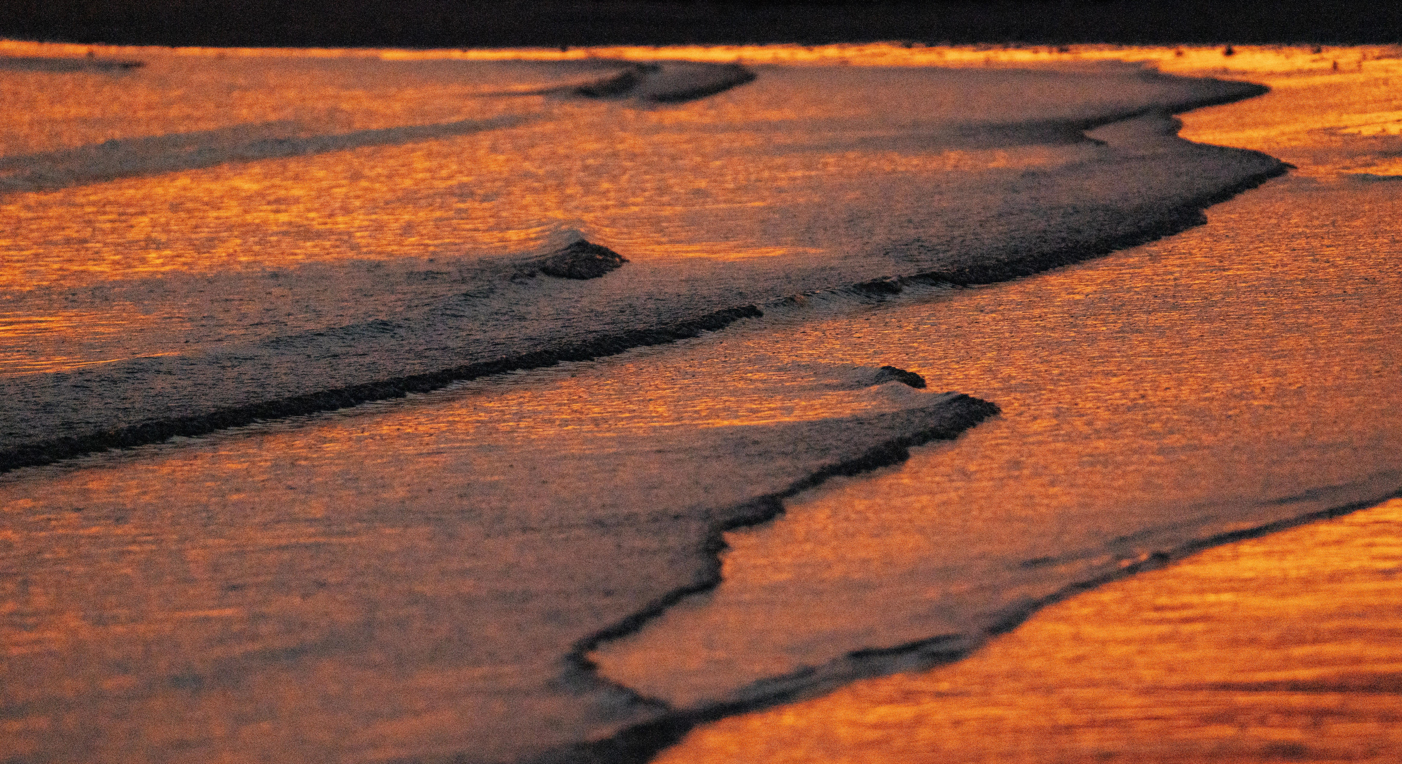 Red tide counts rocket in Lee, Collier, DOH sends out health advisory