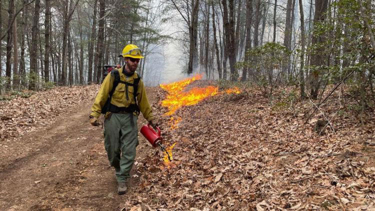 North Fork Fire 65% contained, US Forest Service says