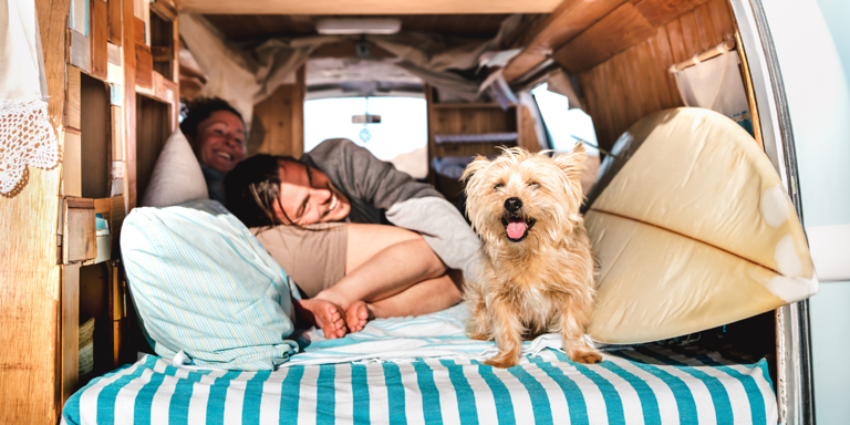 Your Ultimate Guide to Van Camping Mattresses