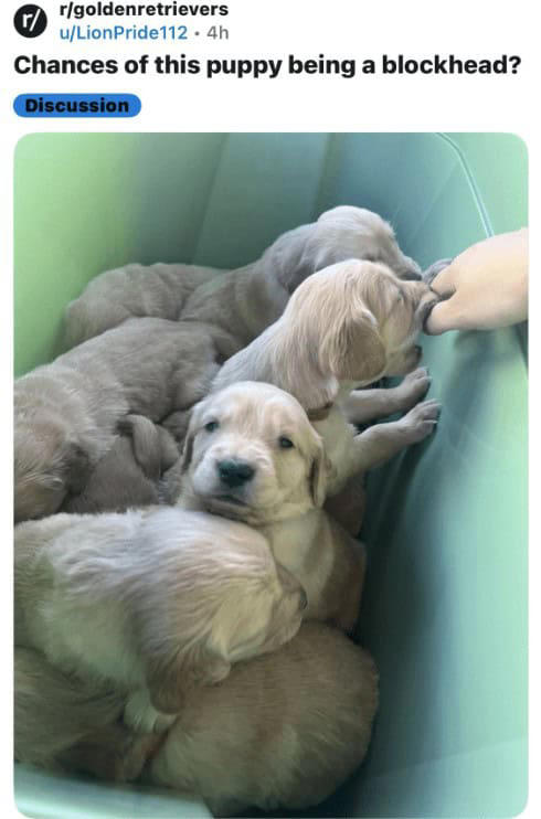 40 Funniest And Wildest Reddit Posts We Found In The Depths This Month ...