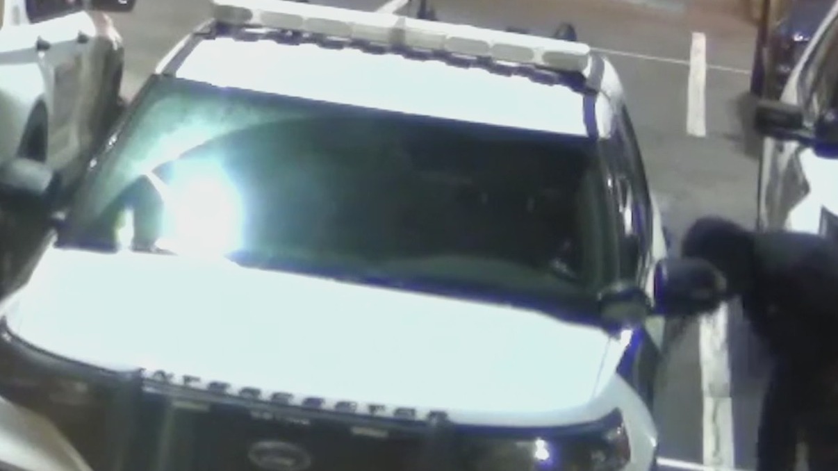 Deputies seek help identifying Washington County tire slasher