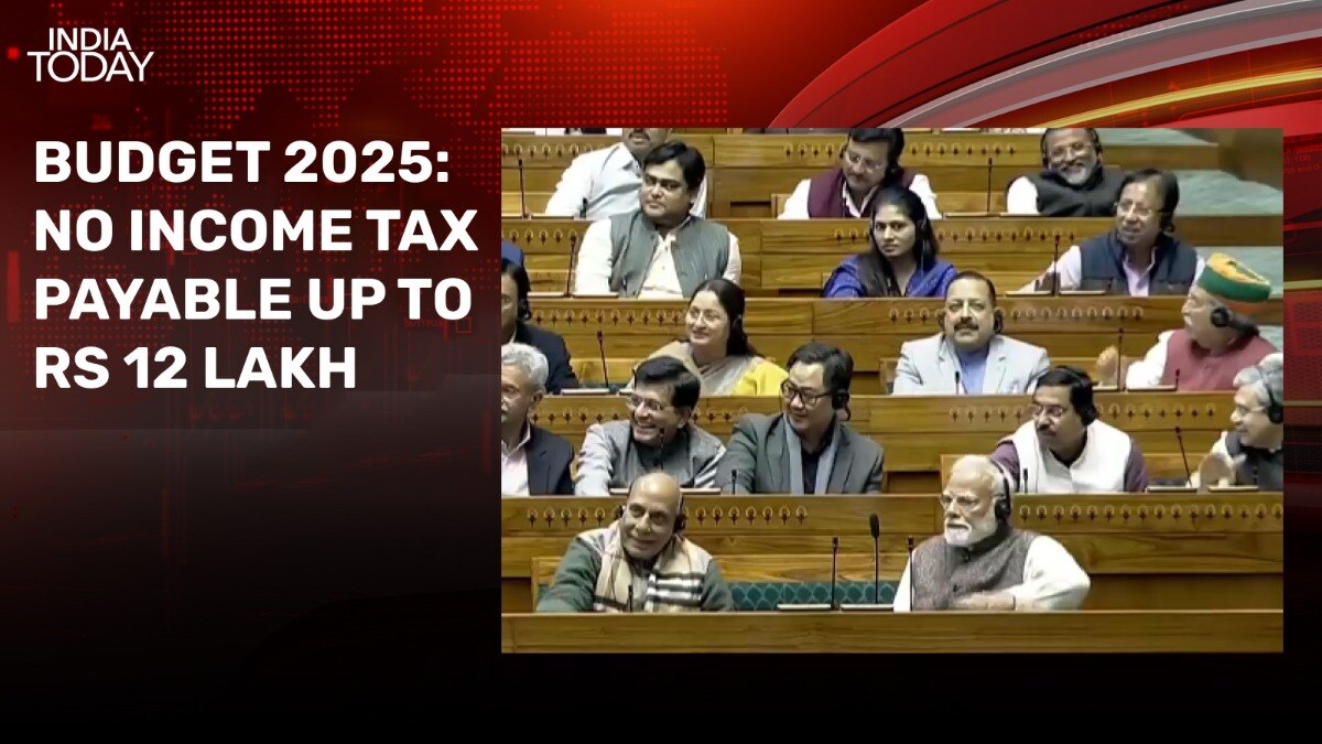 Loud cheer, thumbs in Parliament as Nirmala Sitharam announces mega ...