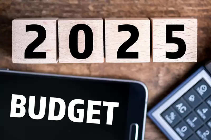 Budget 2025: Why is the budget released at 11 am on February 1? Know 10 ...