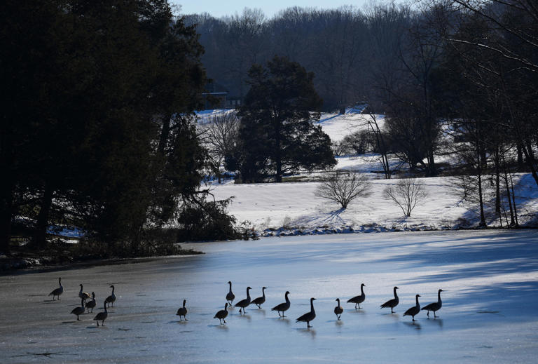 Worth the Drive: Bernheim Forest and Arboretum has hiking, art and ...