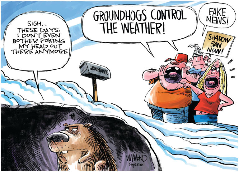 Political cartoons from the USA TODAY Network