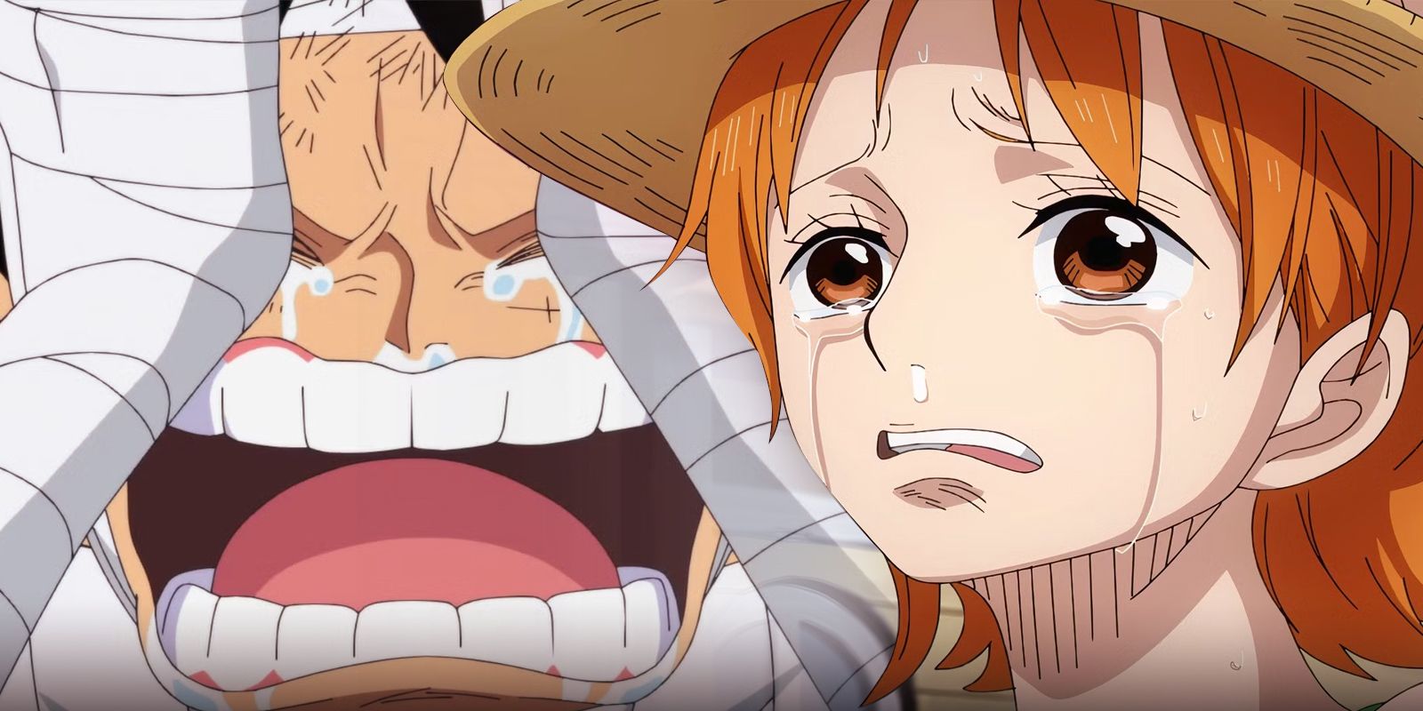 Japan's Fair Trade Commission Announces Massive Investigation Into ...