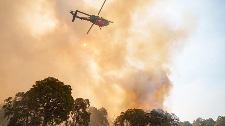 WA has 38 aircraft to fight bushfires including Black Hawk helicopters