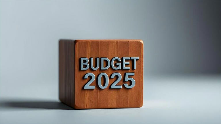 Budget 2025: Sector-wise key expectations with top stocks picks