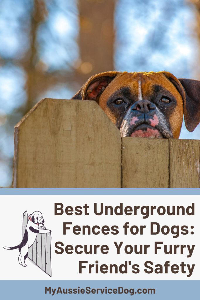 Best Underground Fences for Dogs: Secure Your Furry Friend's Safety
