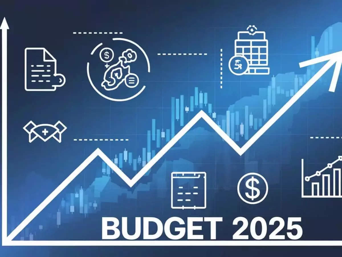 Budget 2025 Decoded: Your 2-minute guide to become a budget pro