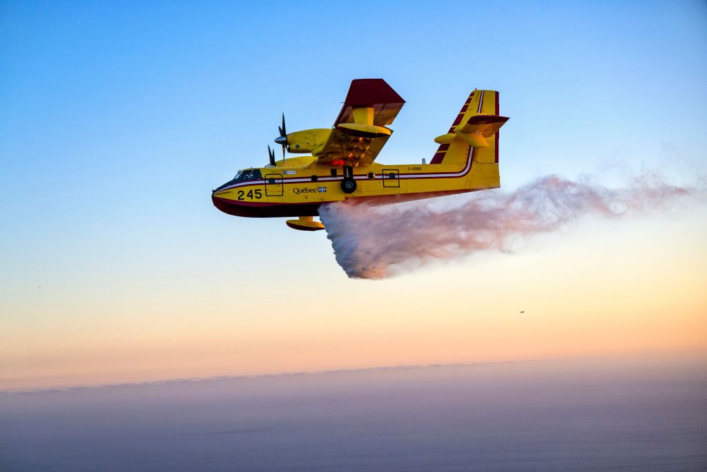 Drone operator who damaged LA firefighting plane was Treyarch co ...