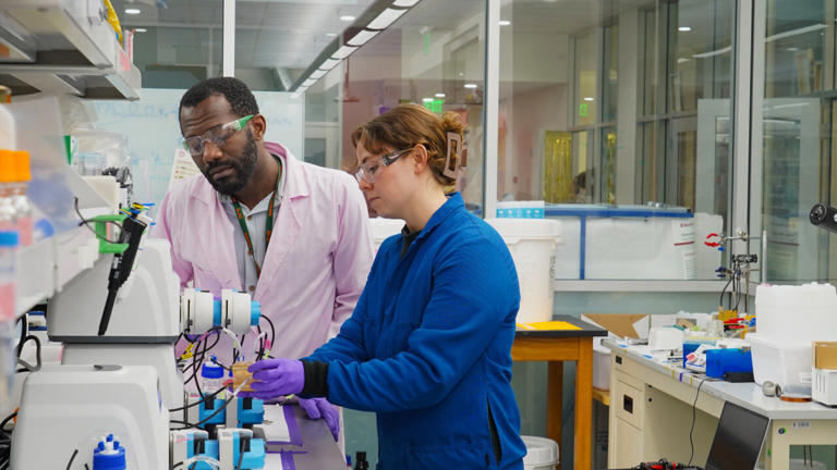 Recycling lithium-ion batteries slashes emissions, secures future ...